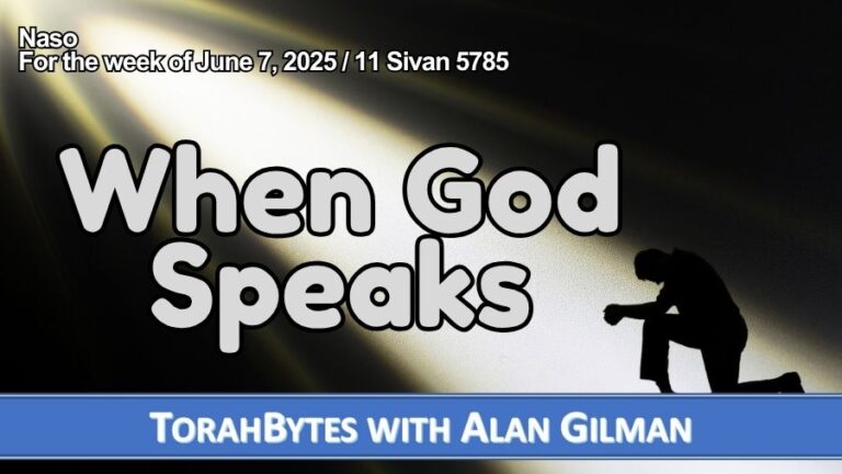 TorahBytes / Biblical commentary from a messianic perspective